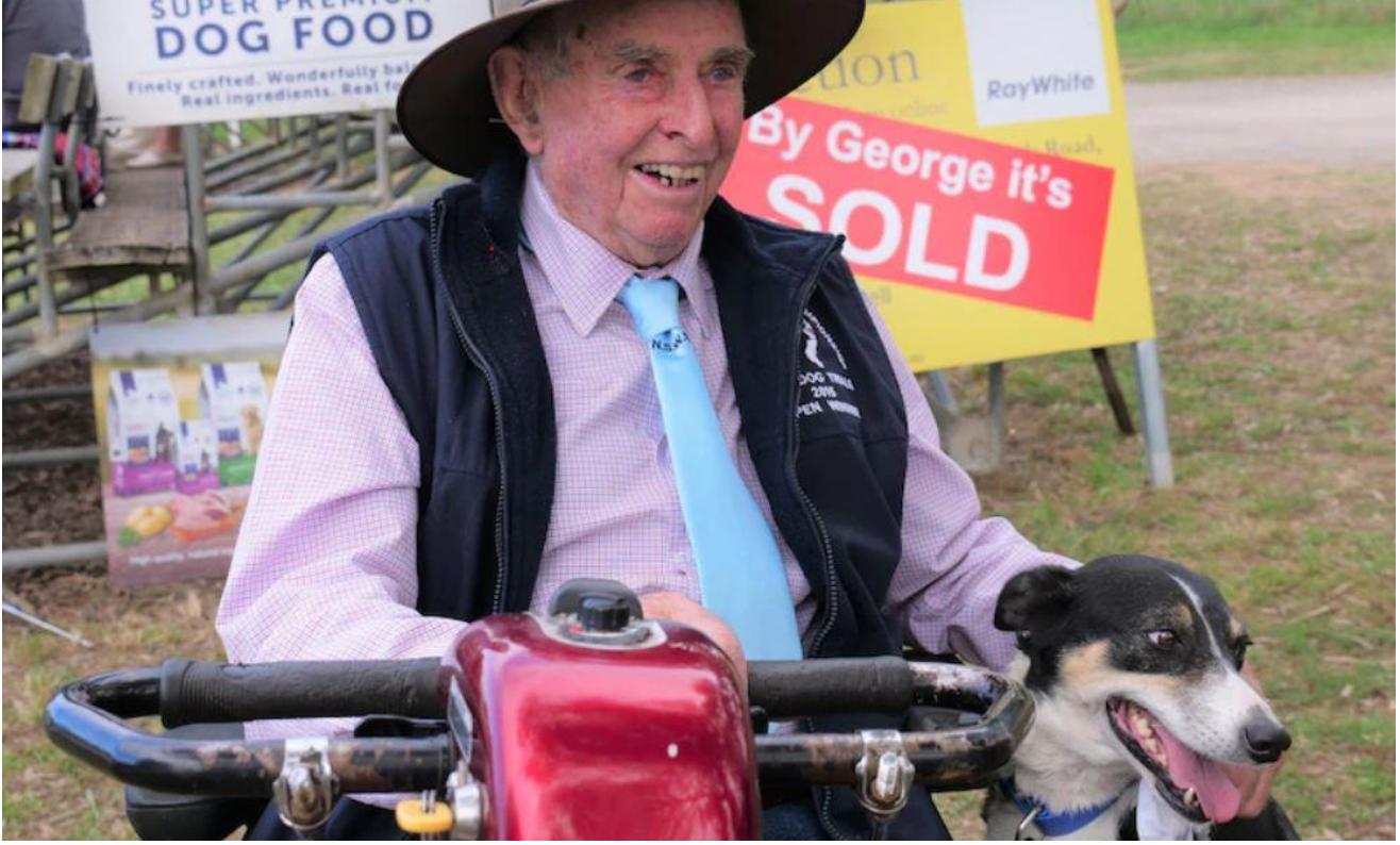 Laurie Slater, den ældste deltager i dette års National Sheep Dog ...